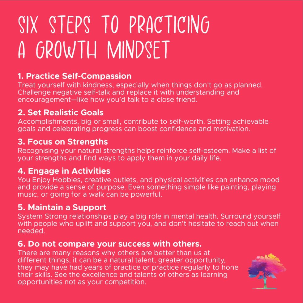 Six Steps to Practicing a Growth Mindset - Upper Hunter Where There's a Will